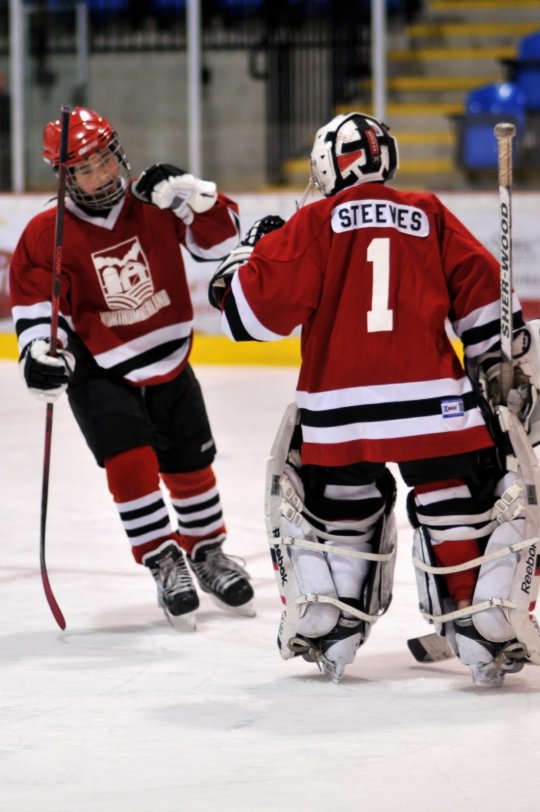 Fredericton Youth Hockey Association powered by GOALLINE.ca