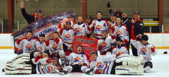 Fredericton Youth Hockey Association powered by GOALLINE.ca